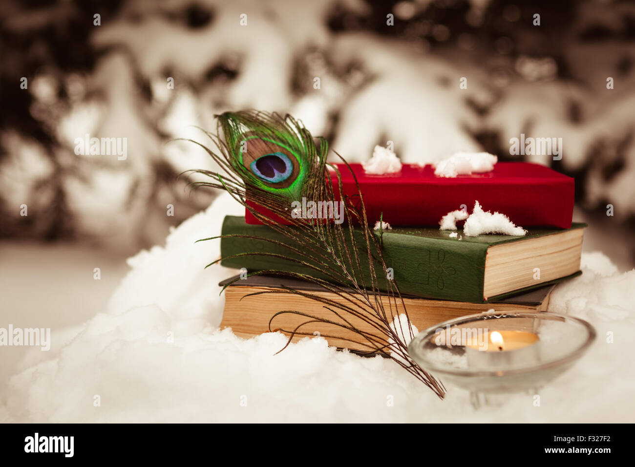 Vintage background with old books on the snow Stock Photo - Alamy