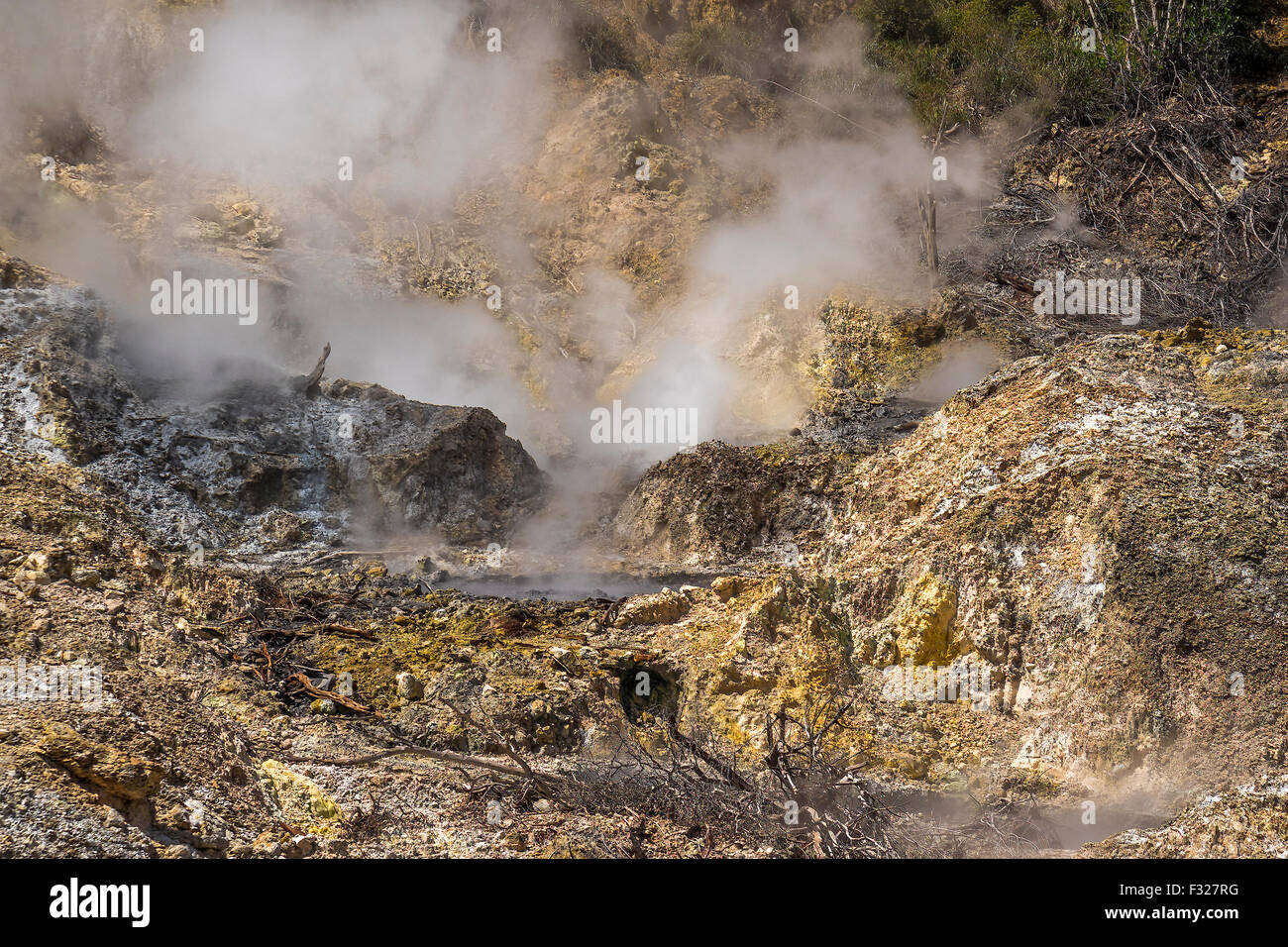 Volcanic Area Mount Soufriere St. Lucia West Indies Stock Photo - Alamy