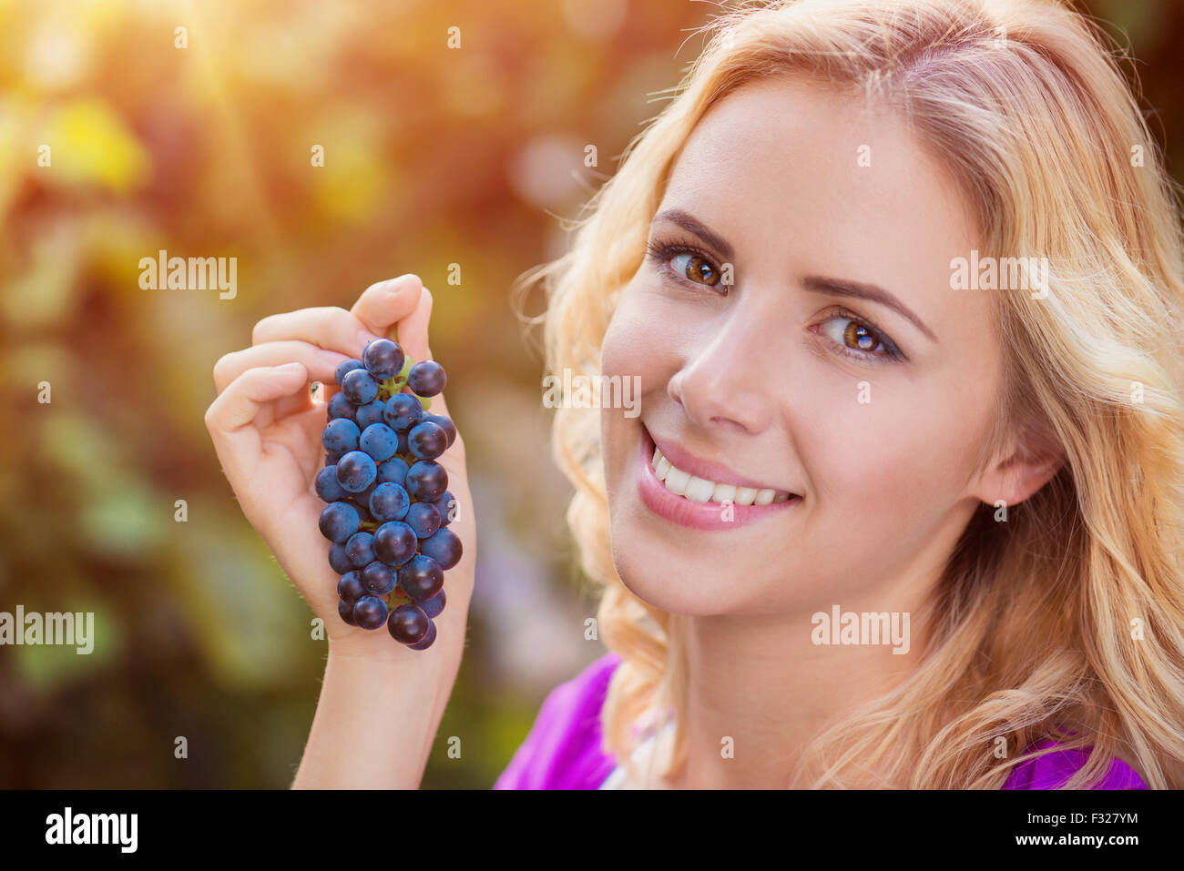 Beautiful woman harvesting grapes Stock Photo - Alamy
