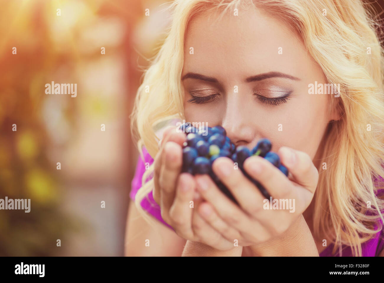 Beautiful woman harvesting grapes Stock Photo - Alamy