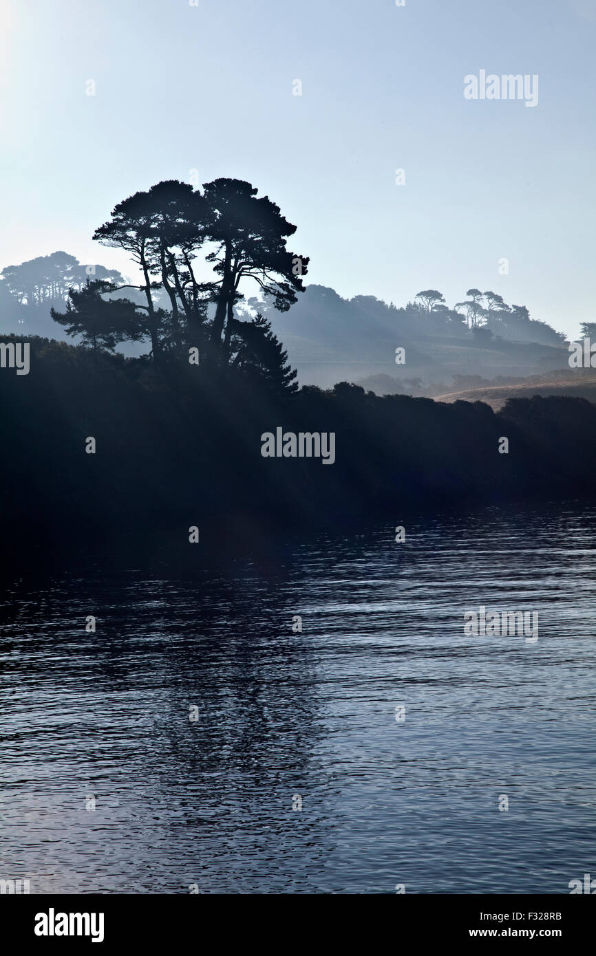Dawn at Durgan beach, Helford, Cornwall, UK Stock Photo - Alamy