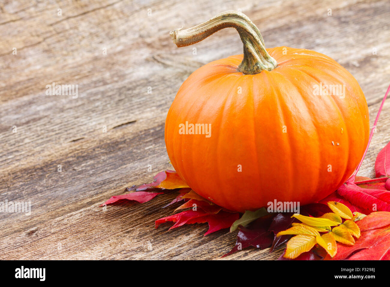 pumpkin on table Stock Photo - Alamy