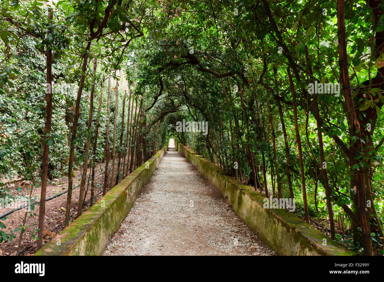 Florence boboli gardens spring hi-res stock photography and images - Alamy