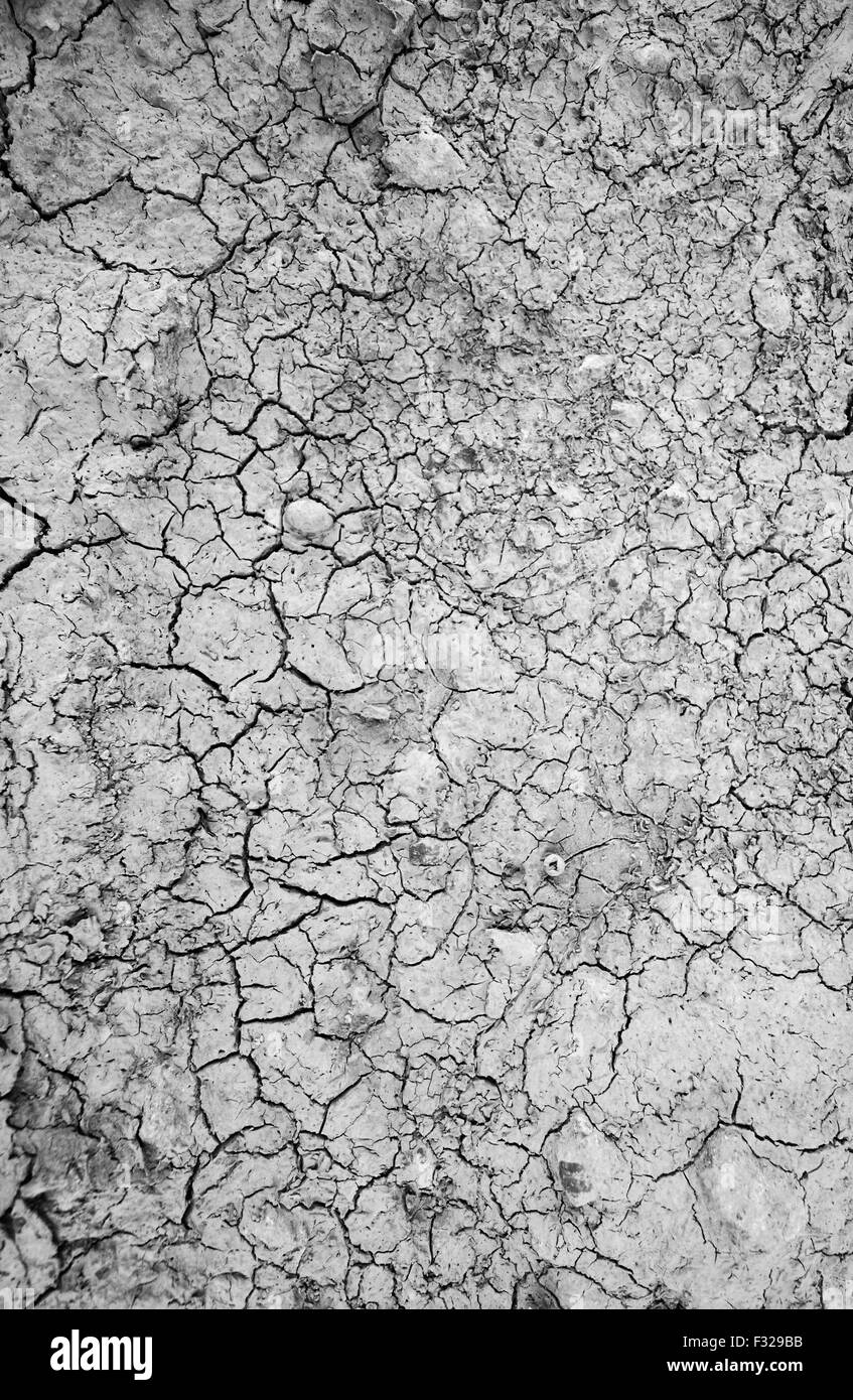 Surface of a grungy dry cracking parched earth Stock Photo - Alamy