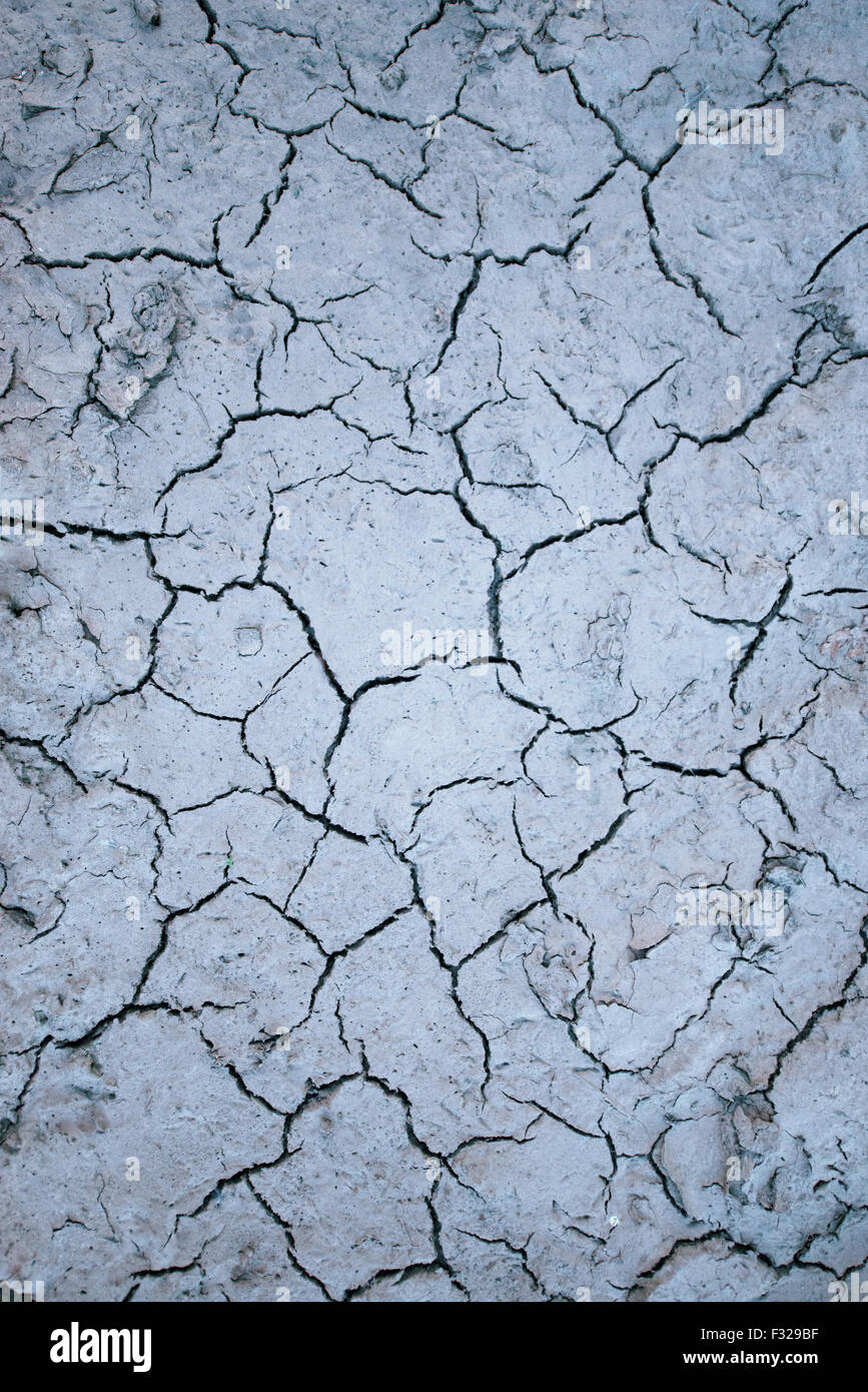 Surface of a grungy dry cracking parched earth Stock Photo - Alamy