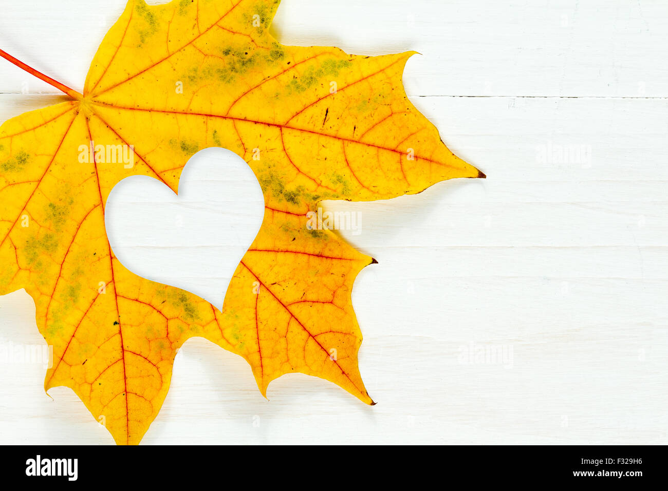 Maple leaf with heart shape on the white wooden background Stock Photo ...