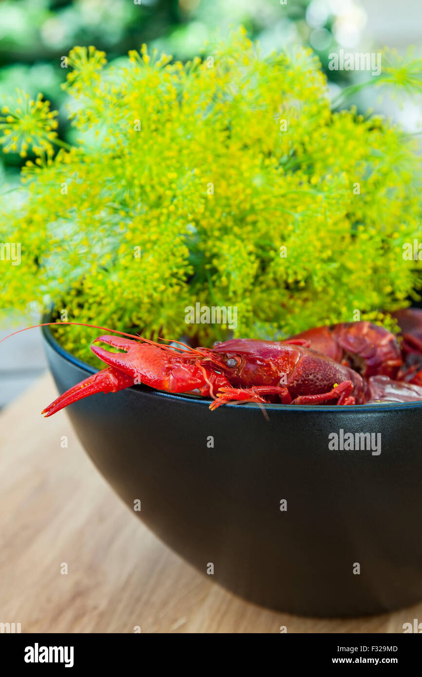 Crayfish pot hi-res stock photography and images - Alamy