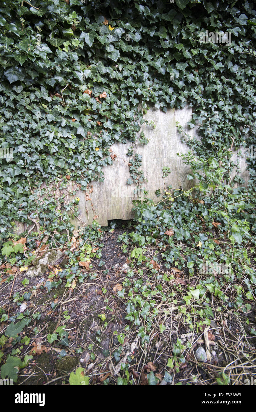 Gap in garden fence for Hedgehog use Stock Photo - Alamy