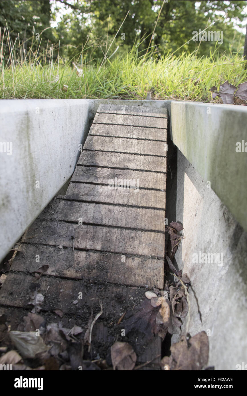 Hedgehog and small mammal steps in cattle grid Stock Photo - Alamy
