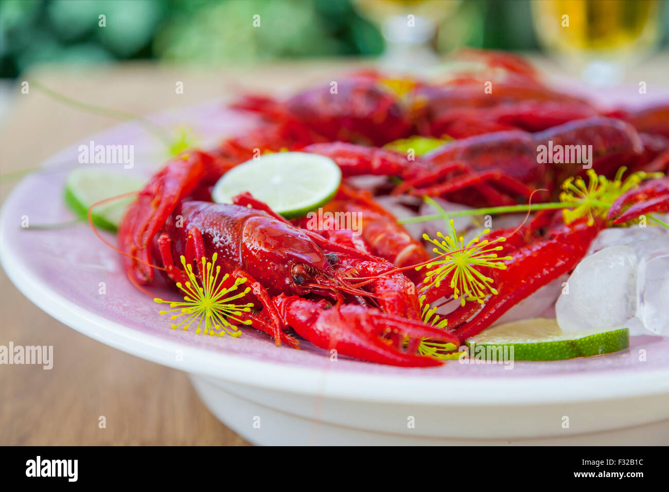 Claw of a crayfish hi-res stock photography and images - Alamy