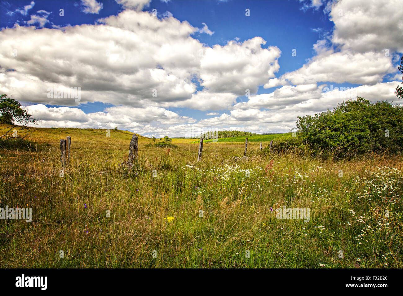 Image of a traditional swedish farm landscape Stock Photo - Alamy