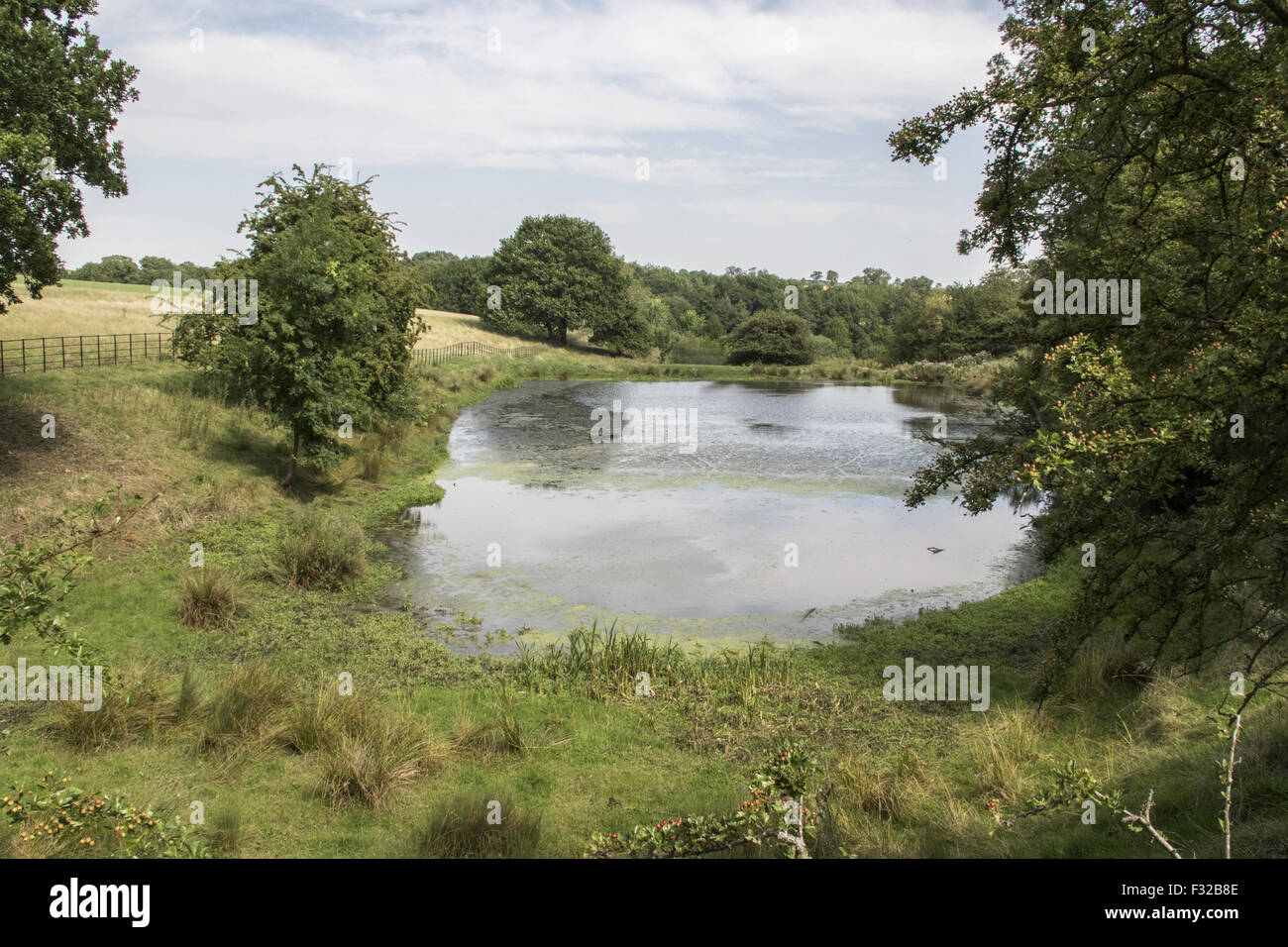 Medieval Fish High Resolution Stock Photography and Images - Alamy