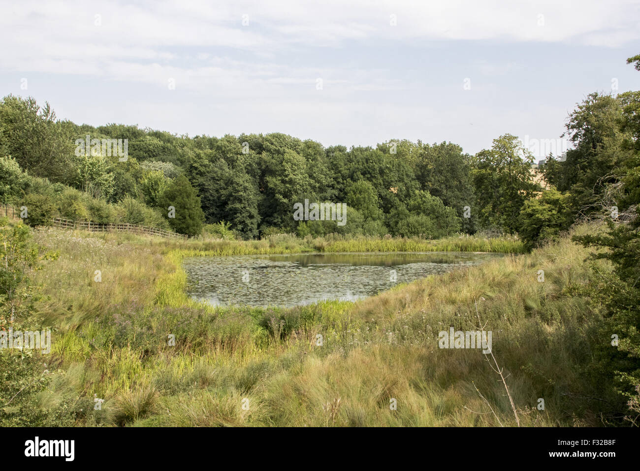 Medieval fish ponds at Launde Abbey Leicestershire Stock Photo - Alamy