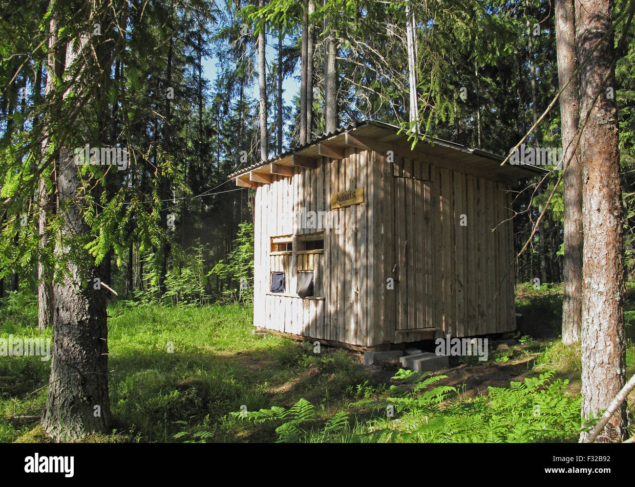 Hide in forest for watching and photographing European Brown Bear ...