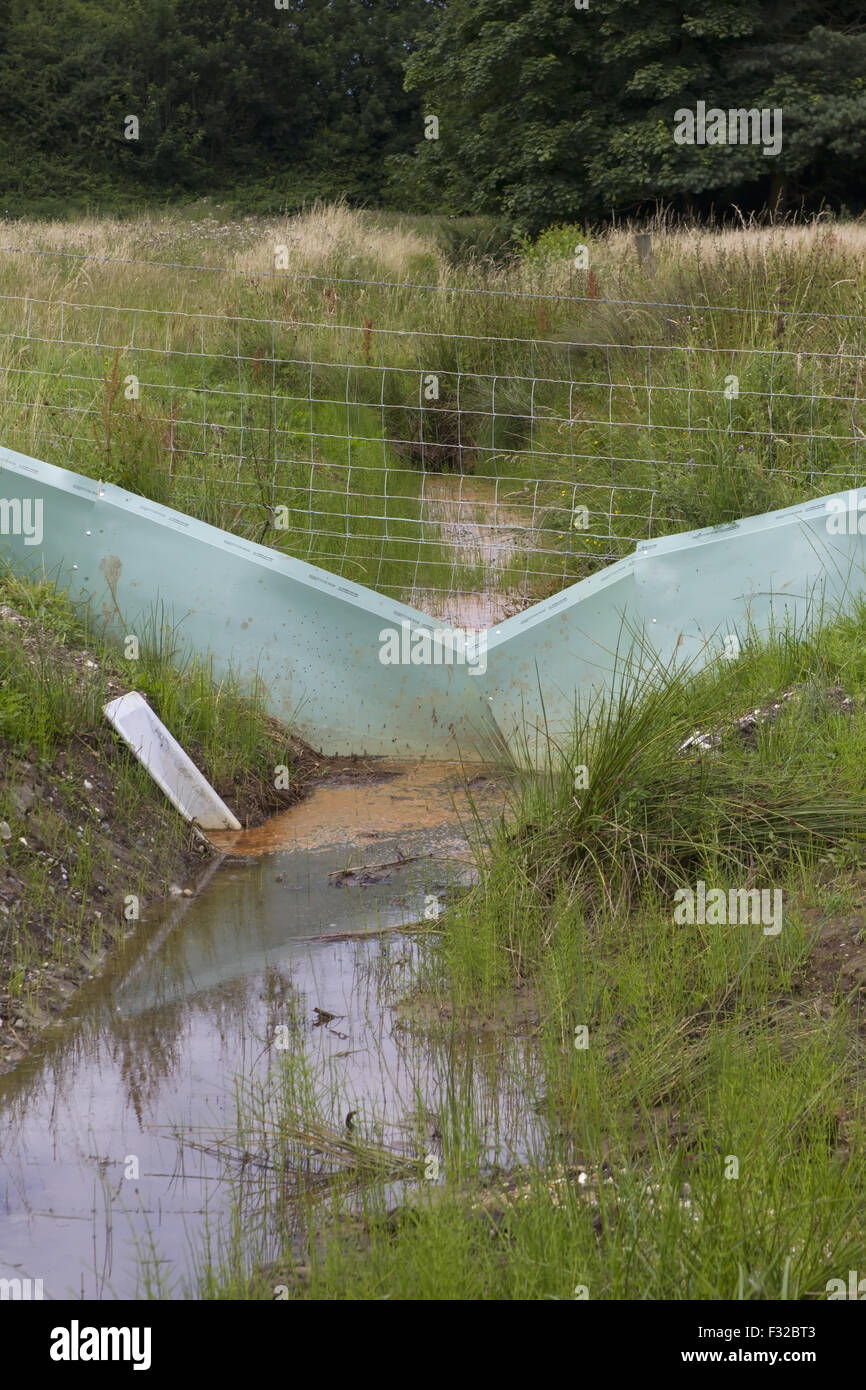 Great Crested Newt (Triturus cristatus) conservation, plastic barrier ...