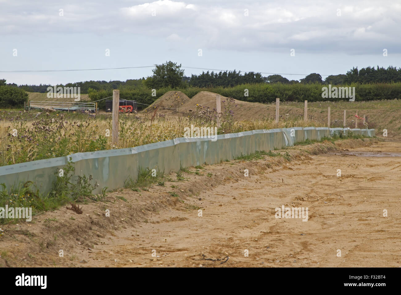 Great Crested Newt (Triturus cristatus) conservation, plastic barrier ...