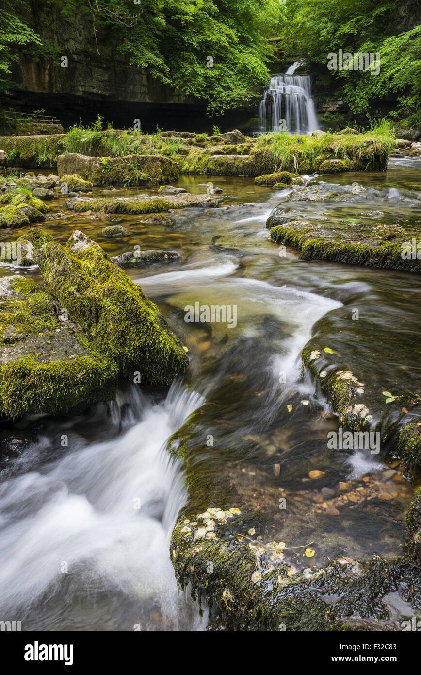 View of waterfall and cascades, Cauldron Falls, Walden Beck, River Ure ...