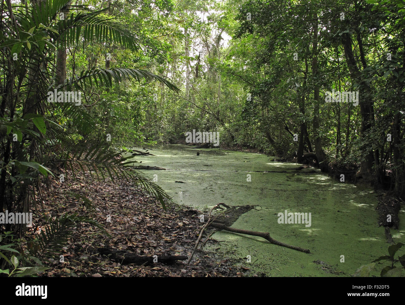 Darien gap hi-res stock photography and images - Alamy