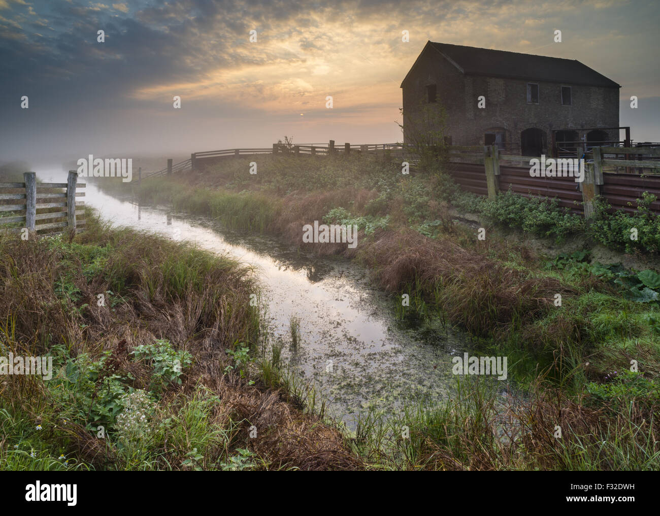 View of farm building (Rose Cottage) and water-filled ditch on coastal ...