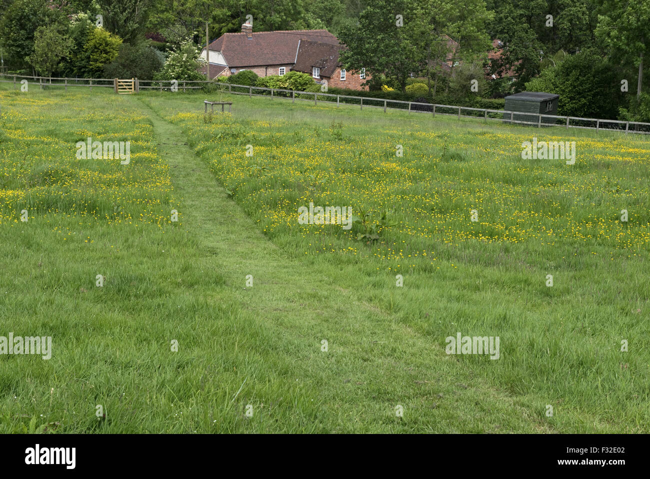 Mown Path Through Meadow Stock Photos & Mown Path Through Meadow Stock ...