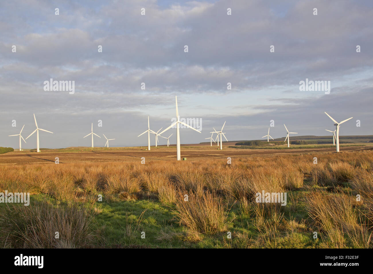 Berwickshire wind turbines hi-res stock photography and images - Alamy
