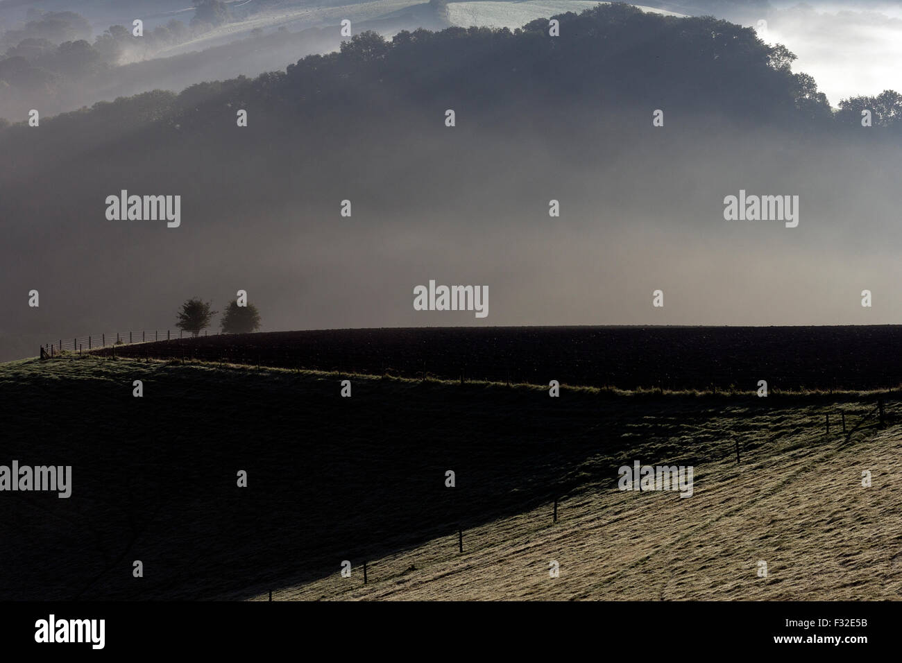 Foggy sunrise over Devon fields,Teign valley,fence,duns ford,misty,mist ...