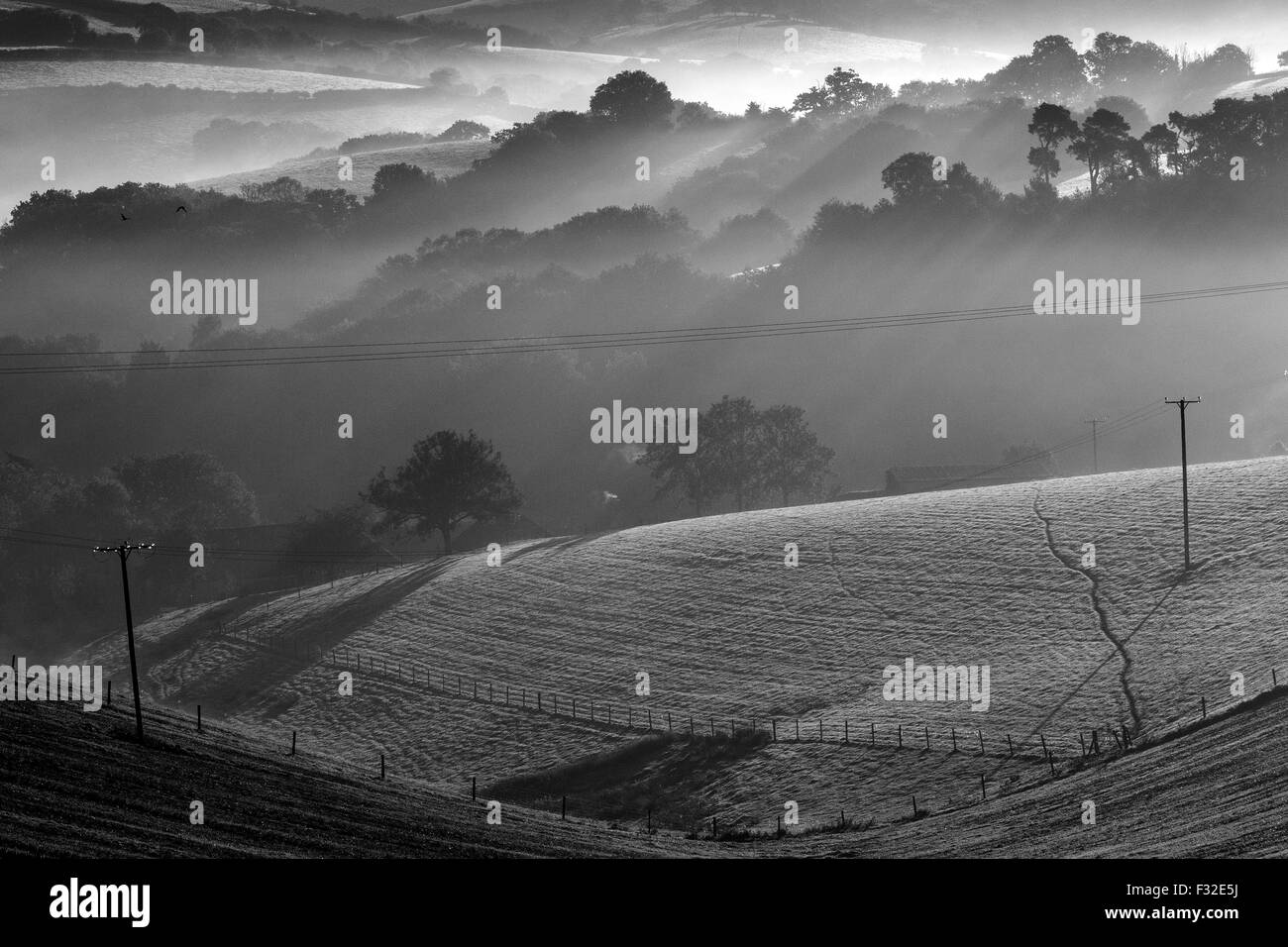 Telegraph poles in morning mist,morning mist,Teign Valley,Combe,fog ...