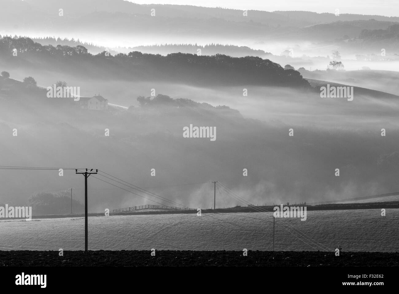 Telegraph poles in morning mist, fields in morning mist near Dunsford ...