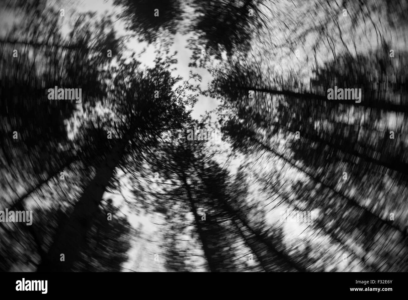 Spin dizzy Black and White Stock Photos & Images - Alamy