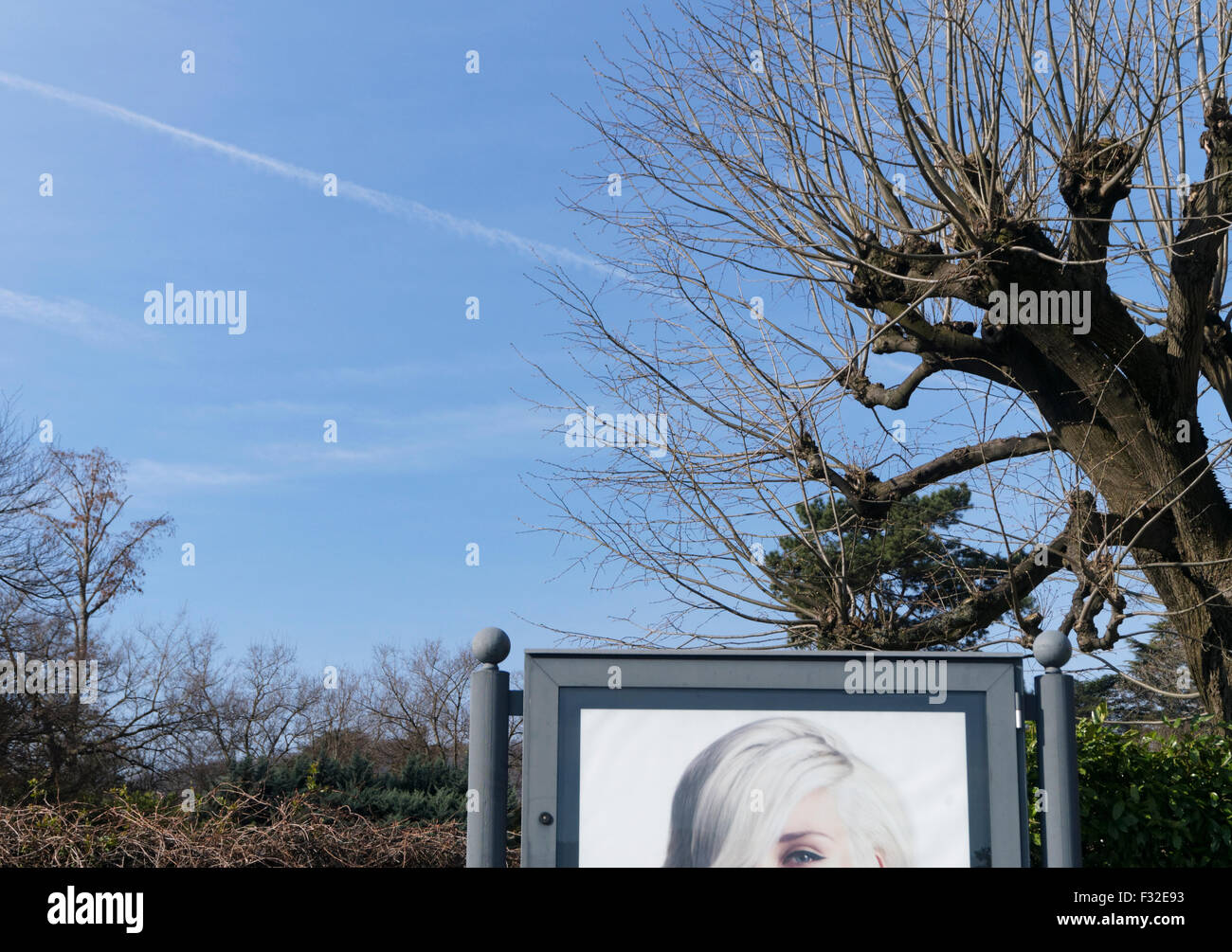 Advertising billboard and trees Stock Photo - Alamy