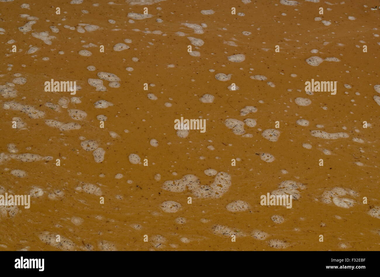 Silt soil white background hi-res stock photography and images - Alamy