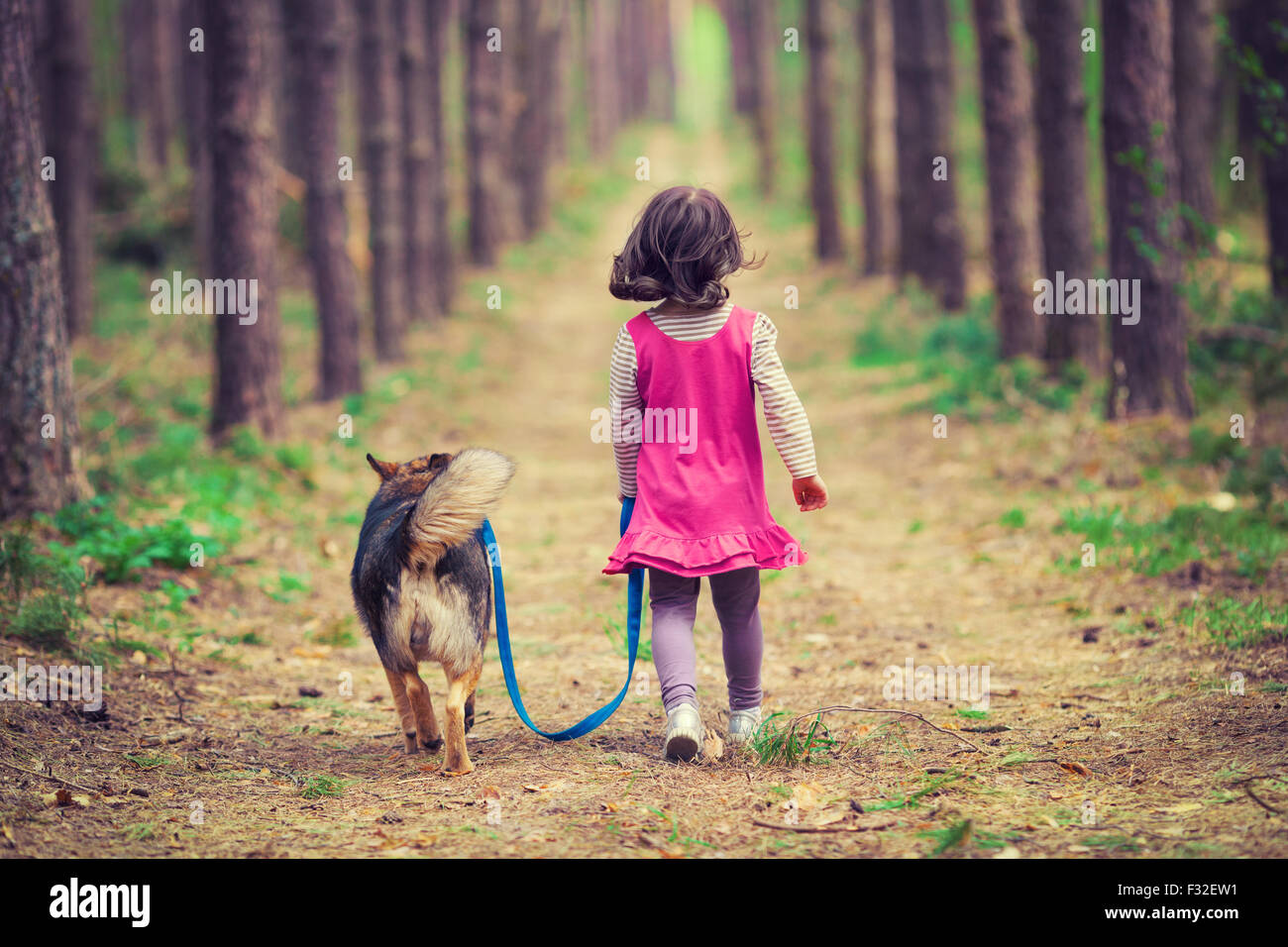 Little girl walking with dog in the forest back to camera Stock Photo ...