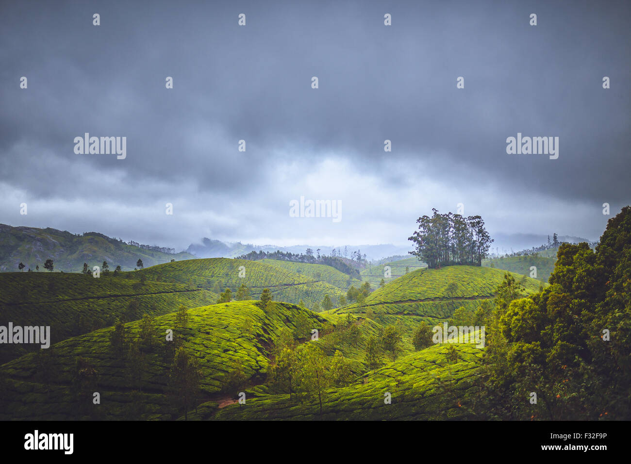 Munnar is a town and hill station located in the Idukki district of the ...