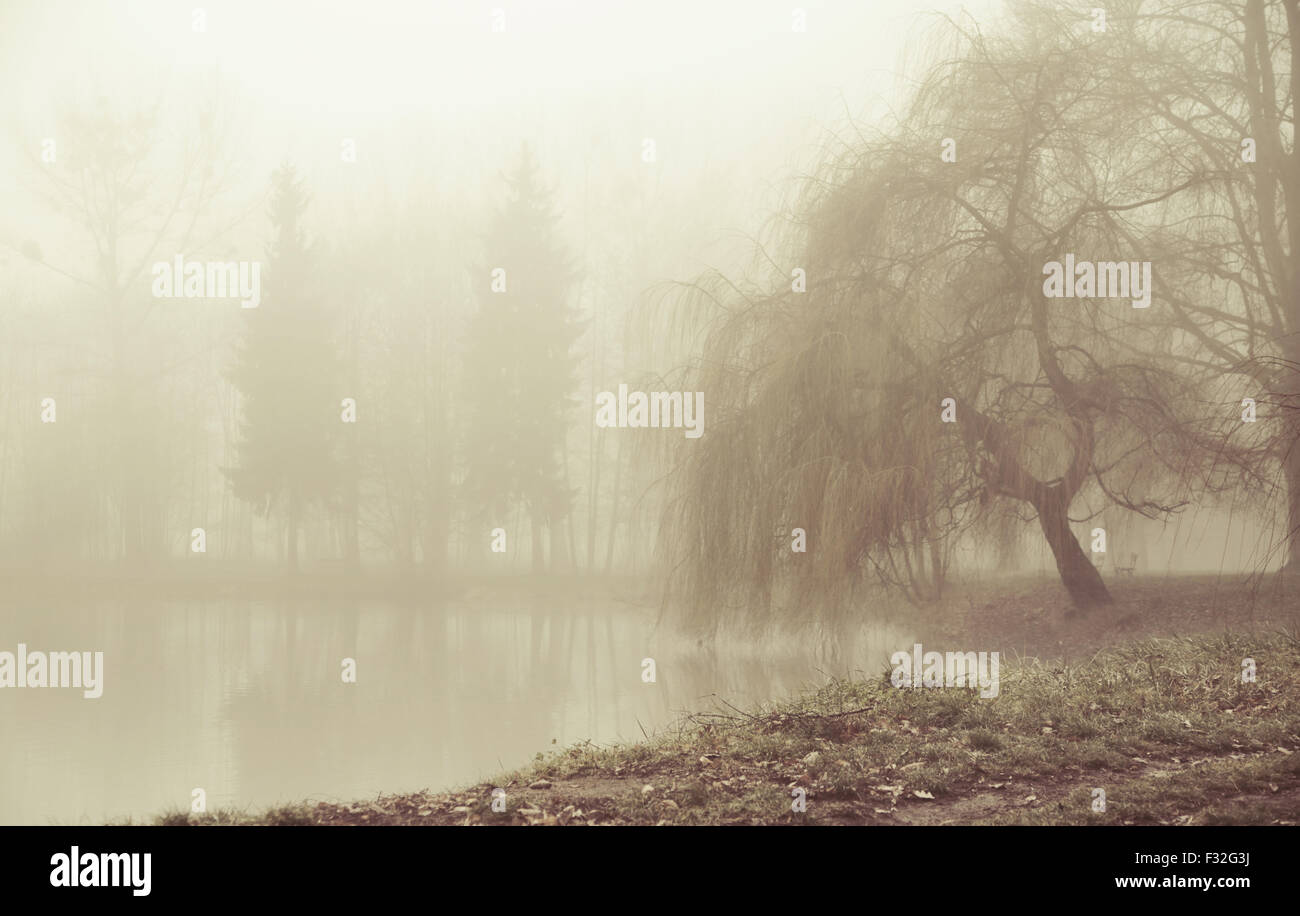 Foggy moring in peaceful area Stock Photo - Alamy