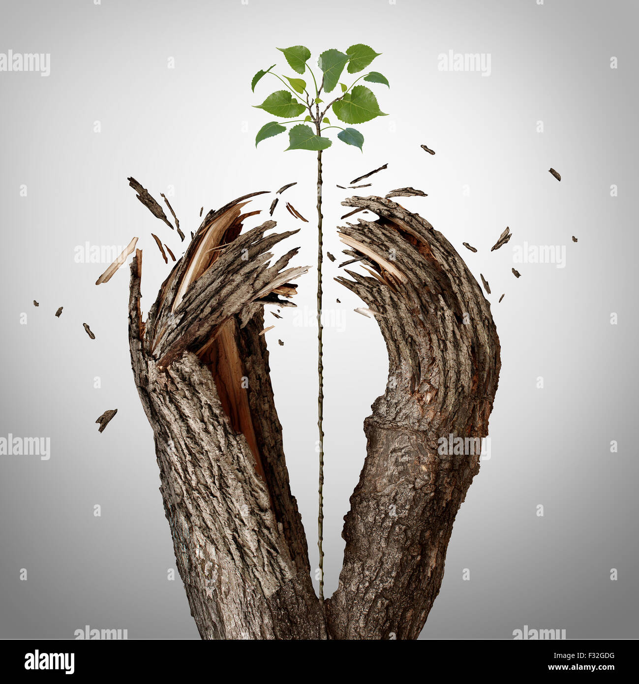 Breaking through concept as a green sapling growing upward and ...