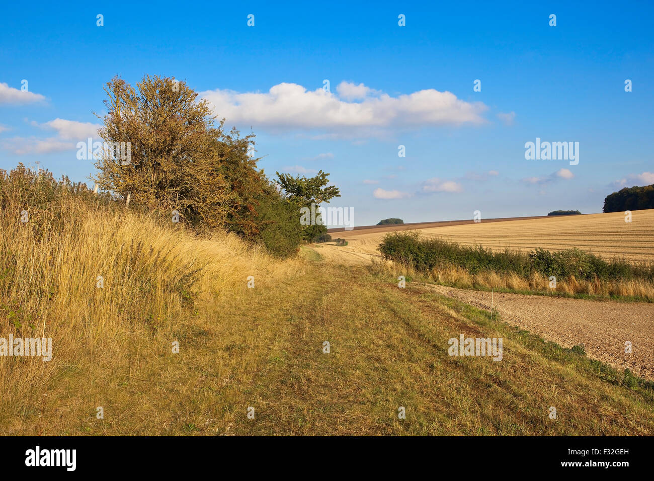 Hedgerows and dry grasses in the patchwork agricultural landscape of ...