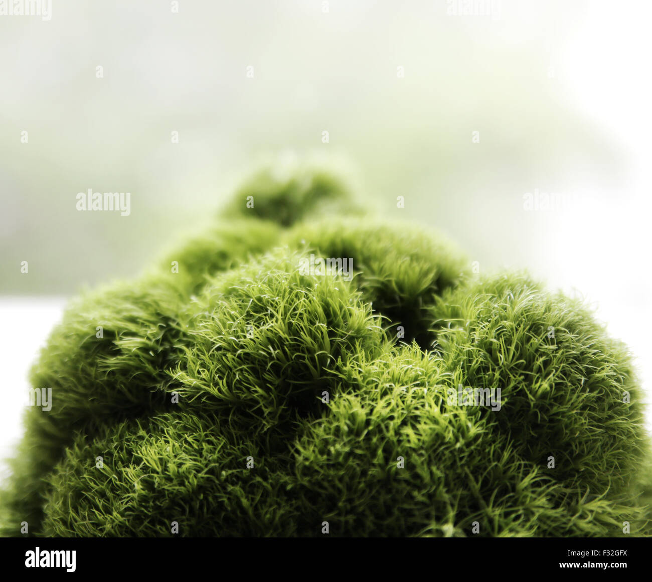 Interesting person hi-res stock photography and images - Alamy