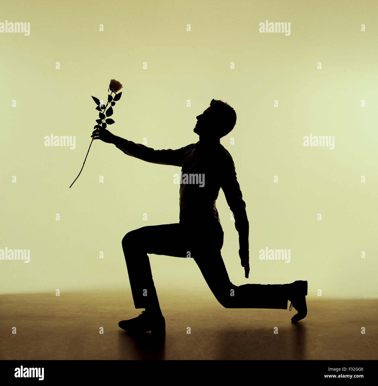 Handsome man proposing to his girlfriend Stock Photo - Alamy