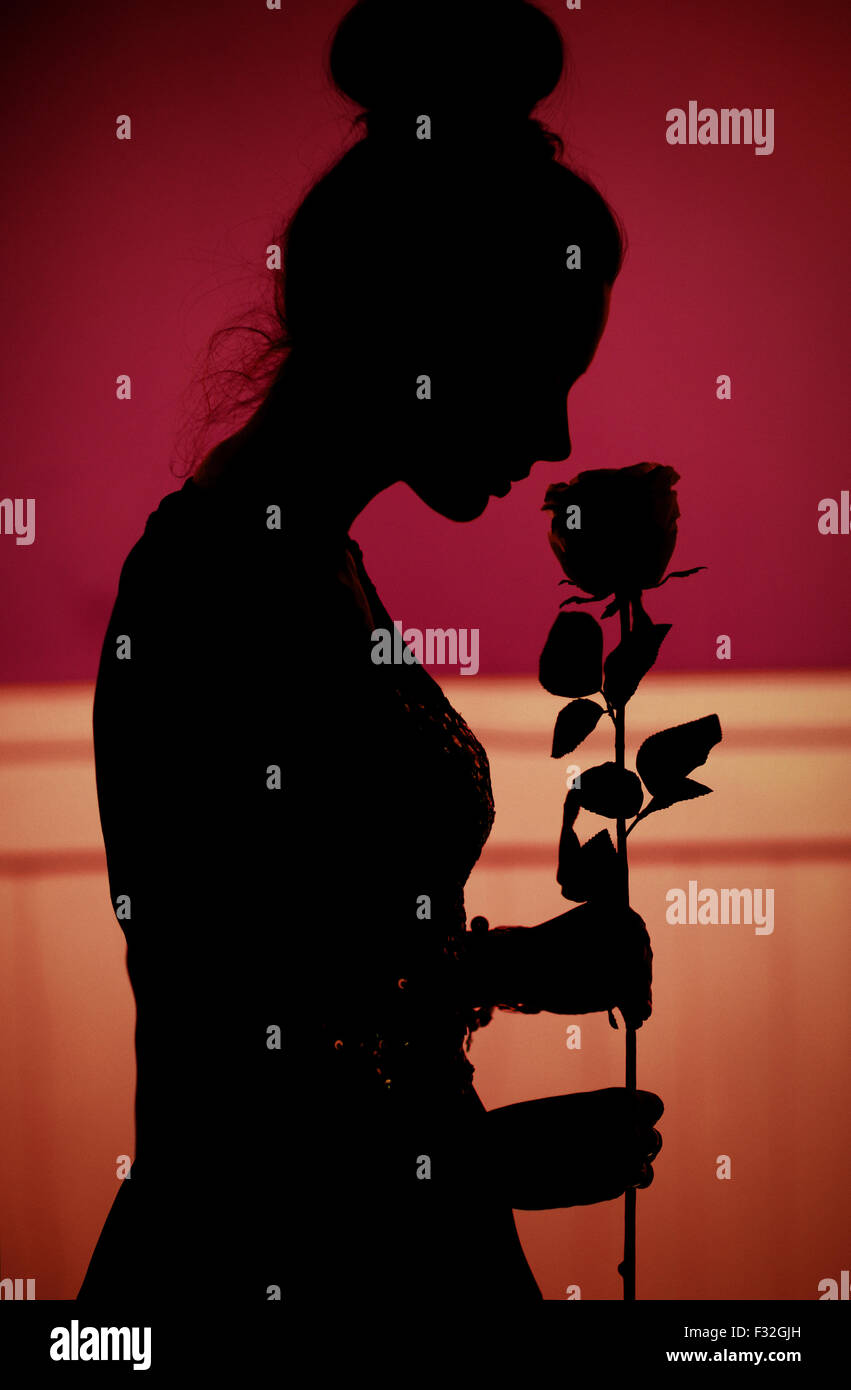 Romantic scene of the lady with the rose given by husband Stock Photo ...
