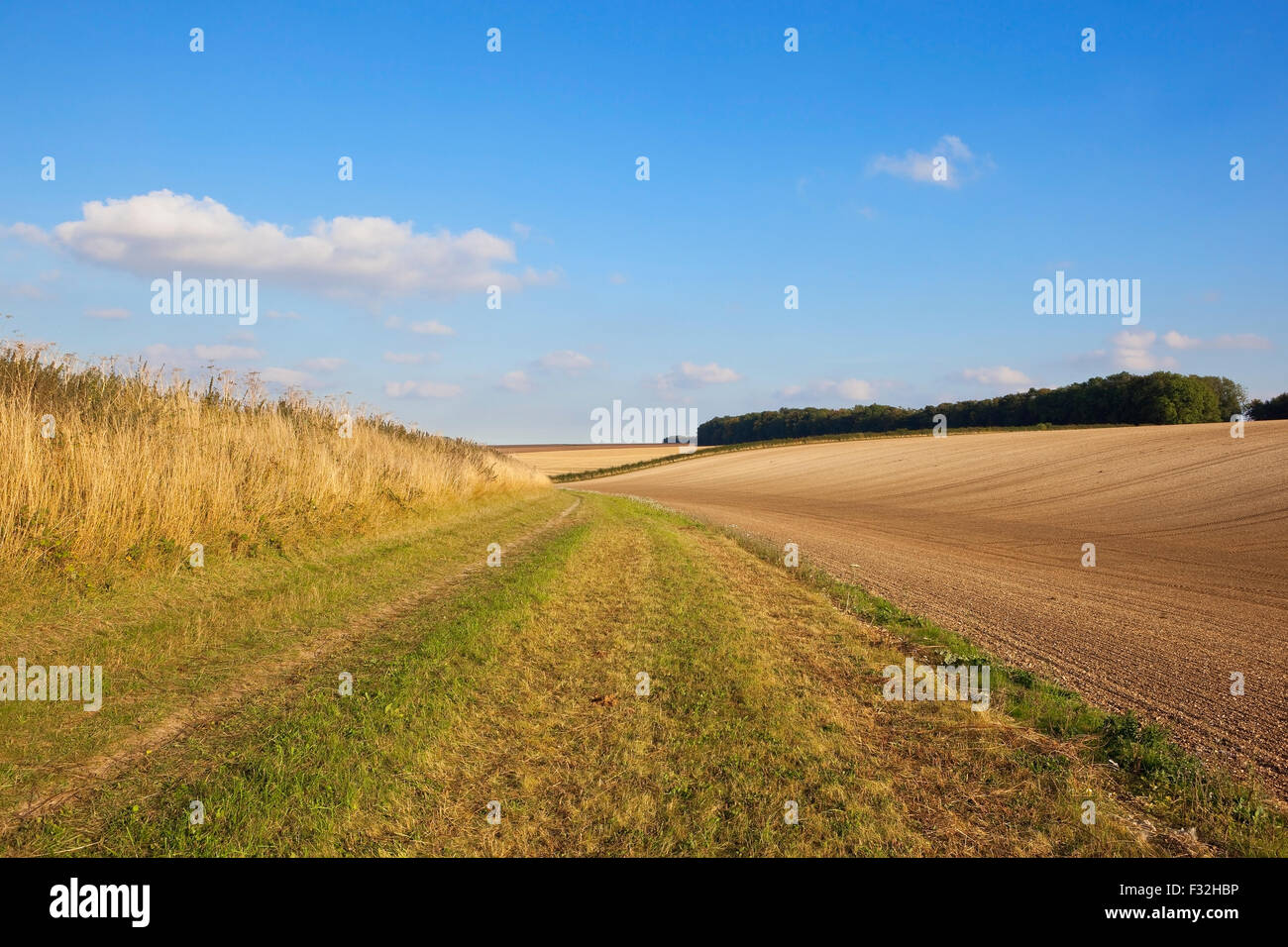 Dry grasses and cultivated fields in the agricultural landscape of the ...