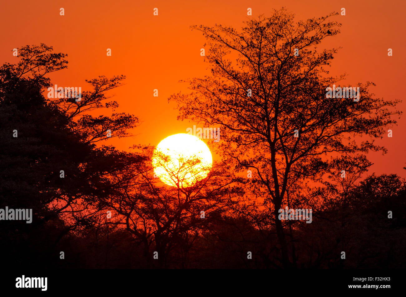 Kalizo lodge hi-res stock photography and images - Alamy