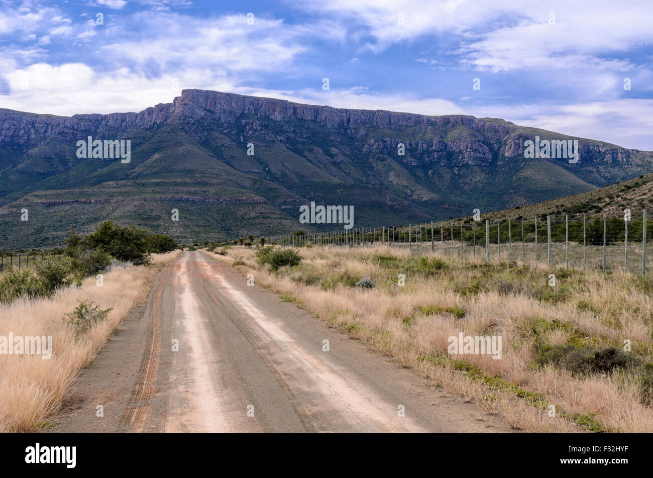 A country road in the Eastern Cape Stock Photo - Alamy