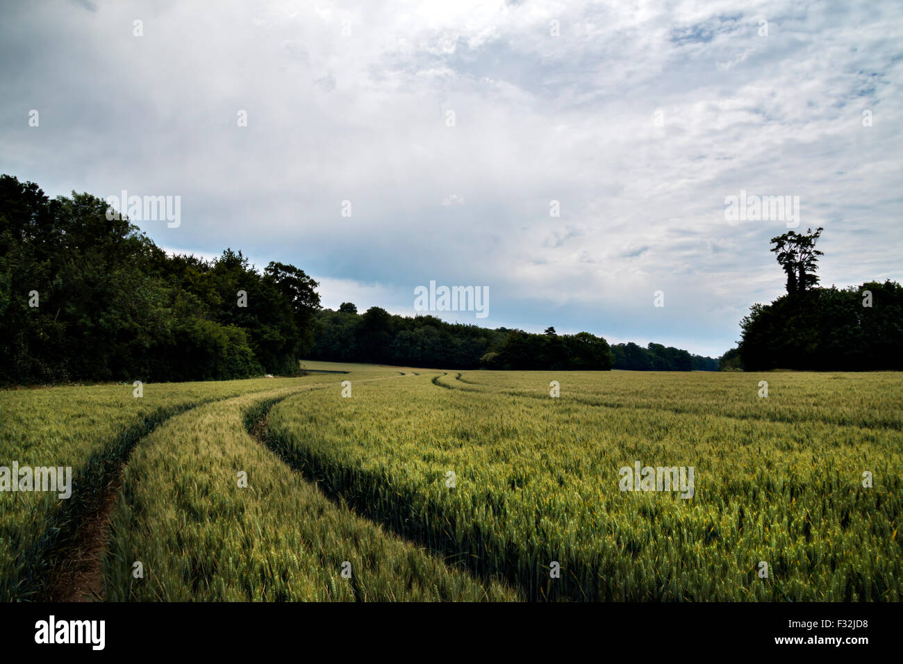 Patterns of crops in fields hi-res stock photography and images - Alamy