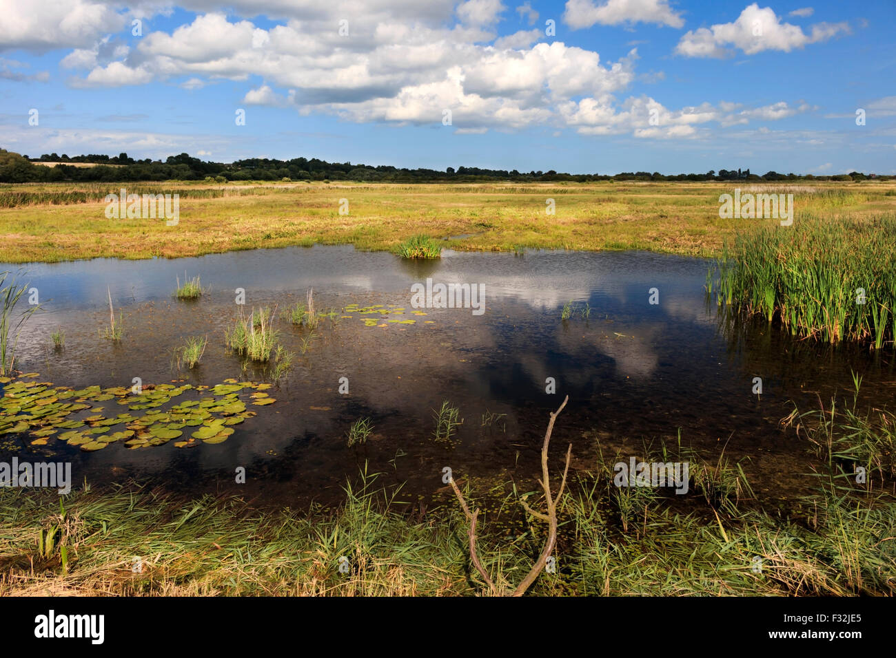 Stodmarsh nature reserve Stock Photo - Alamy