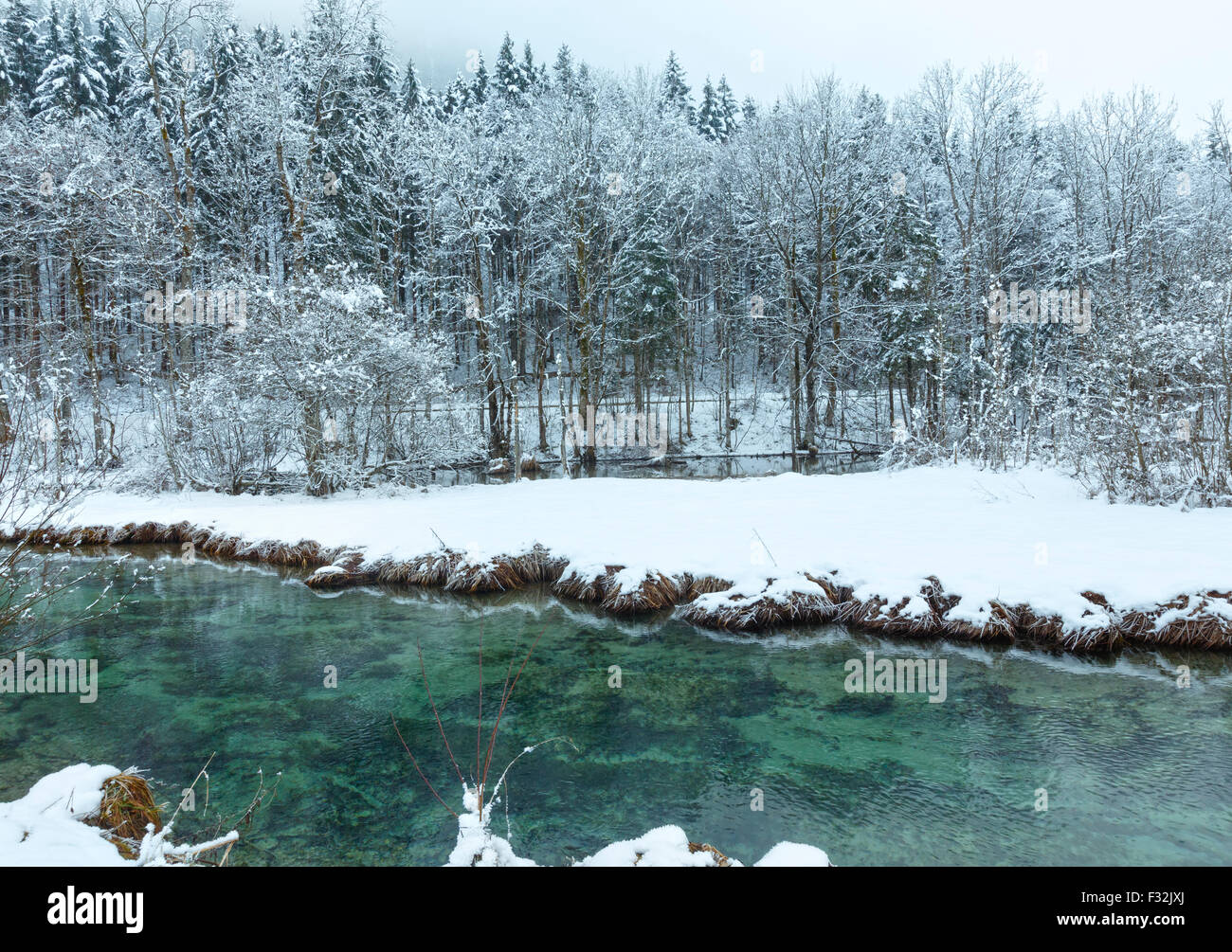 Small winter stream with snowy trees on bank Stock Photo - Alamy