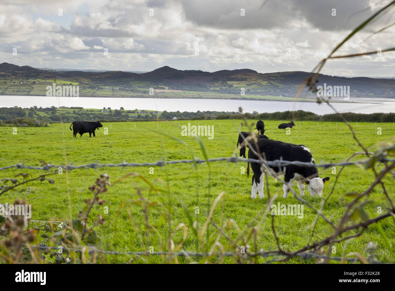 Hill field hi-res stock photography and images - Alamy