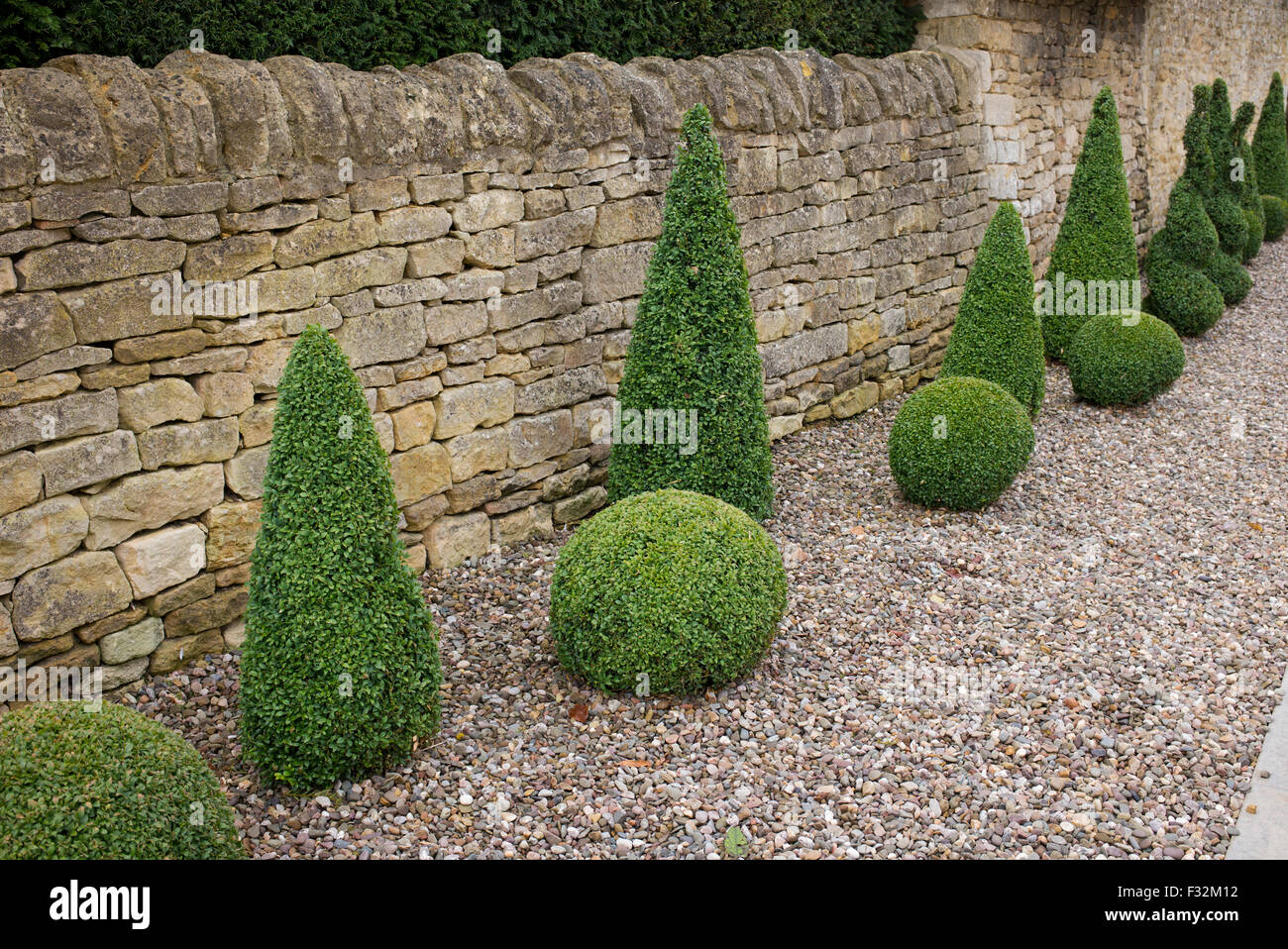 Box topiary plants outside a Cotswold cottage wall, Broad Campden ...