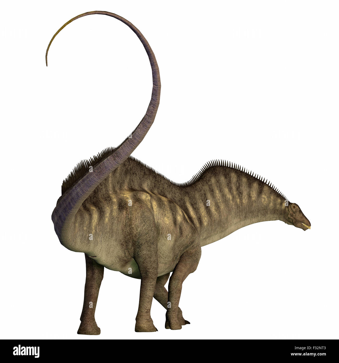 Amargasaurus was a herbivorous sauropod dinosaur that lived in ...