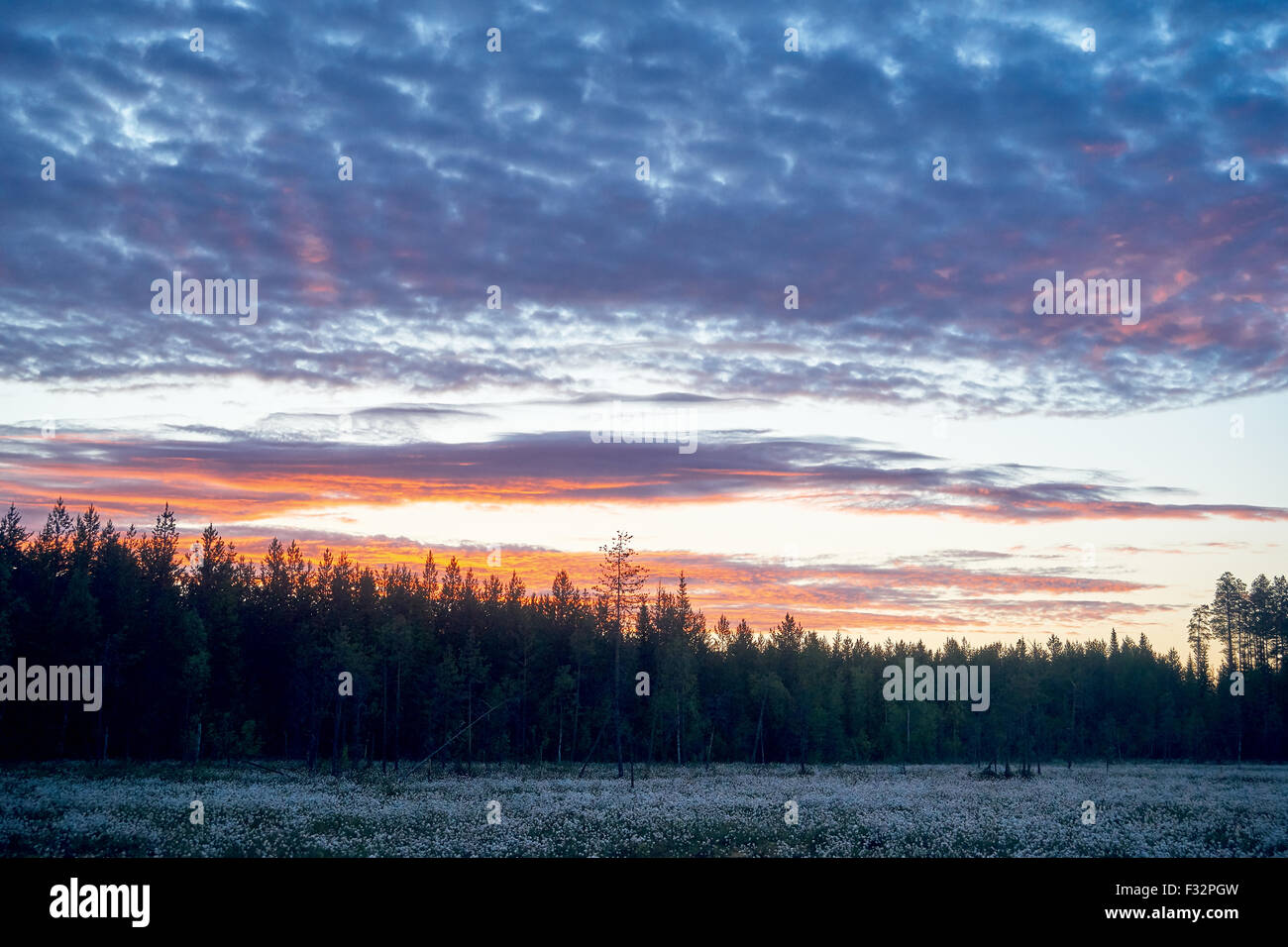 Beautiful Finnish landscape at dawn in spring Stock Photo - Alamy