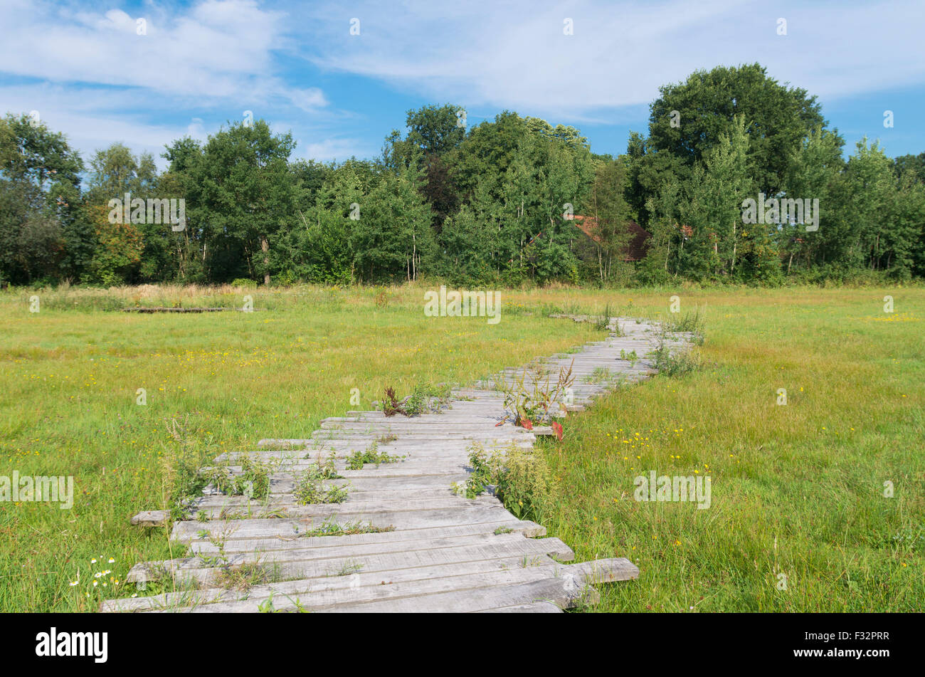 Path in field green hi-res stock photography and images - Alamy
